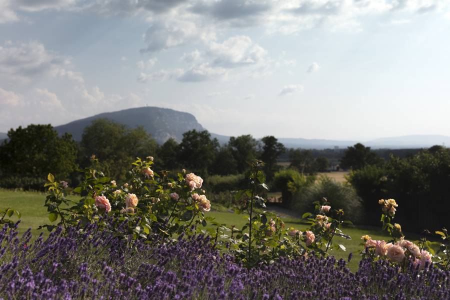 Le Domaine - Collection du Crest